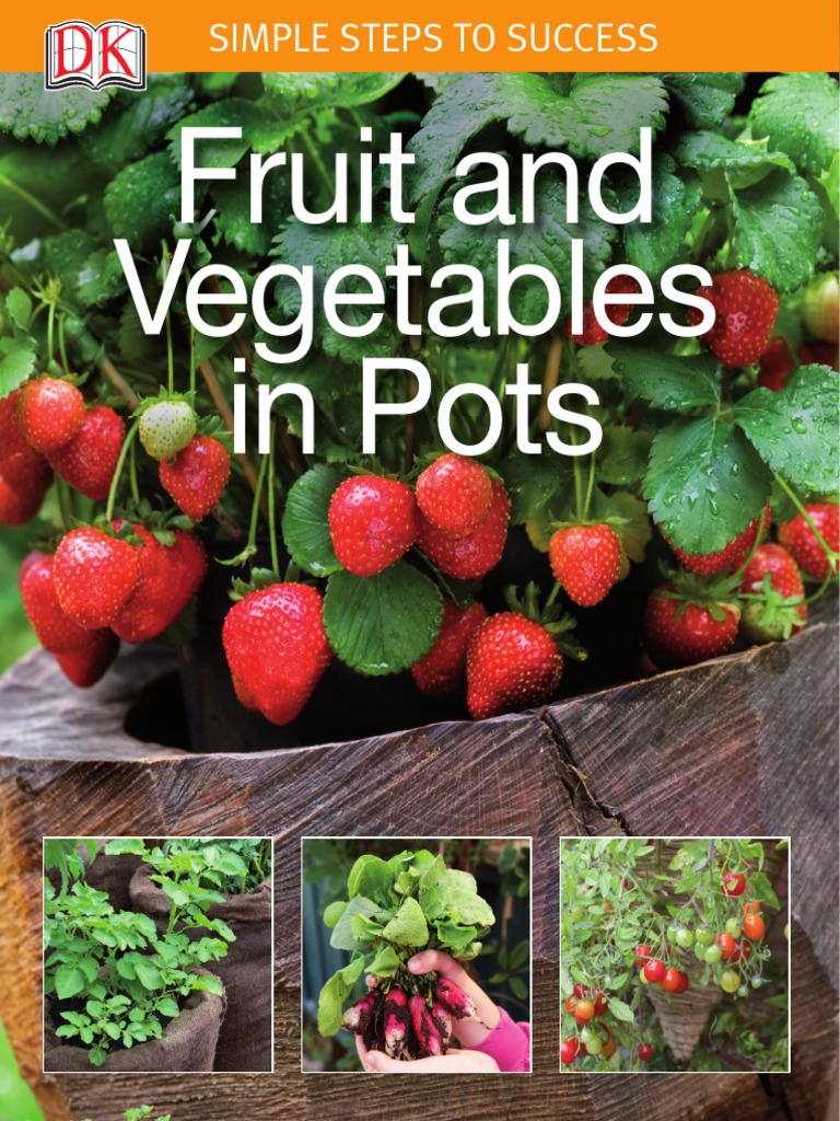 Simple Steps To Success - Fruit and Vegetables in Pots (OM) | PDF ...