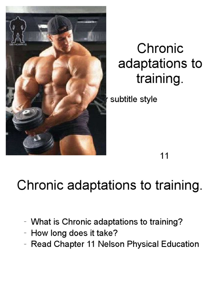 Chronic Adaptations To Training | PDF | Aerobic Exercise | Muscle