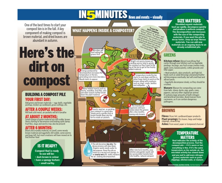 Here's The Dirt On Compost | PDF | Compost | Decomposition
