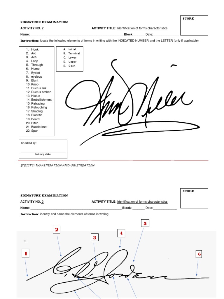 Signature Examination Activities Guide | PDF