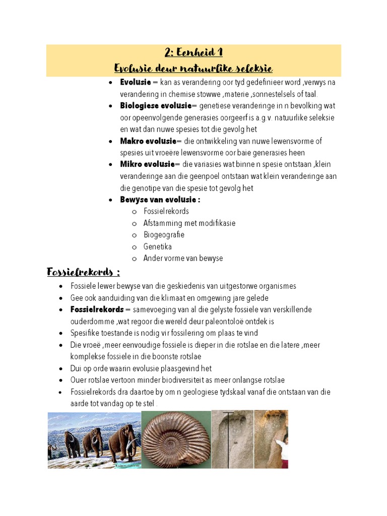 2 - Eenheid 1 Bio Opsommings GR 12 | PDF