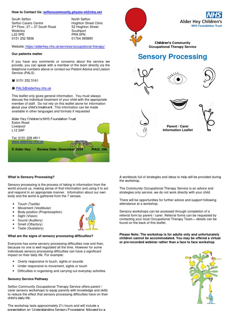 Sefton Occupational Therapy Sensory Processing Information Leaflet For ...
