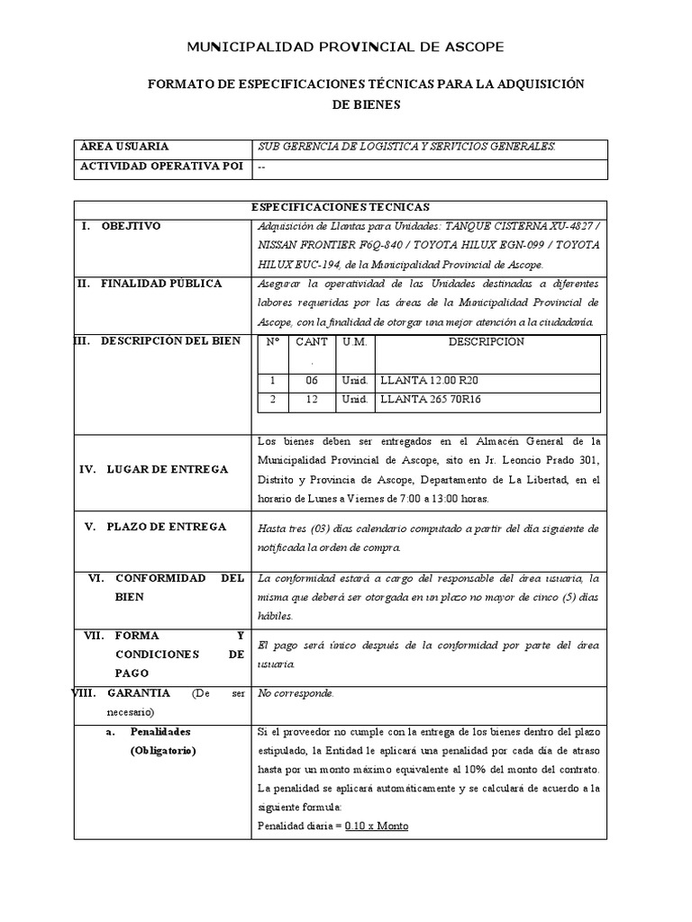 Formato TDR Compras | PDF