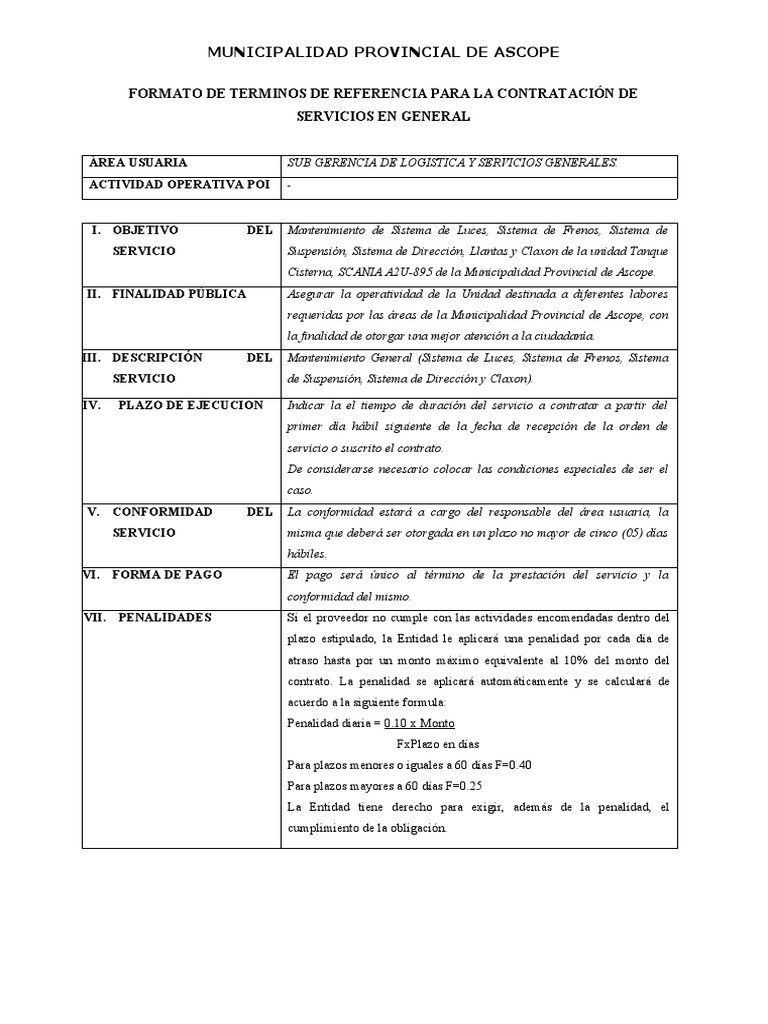 Formato TDR Sevicios | PDF