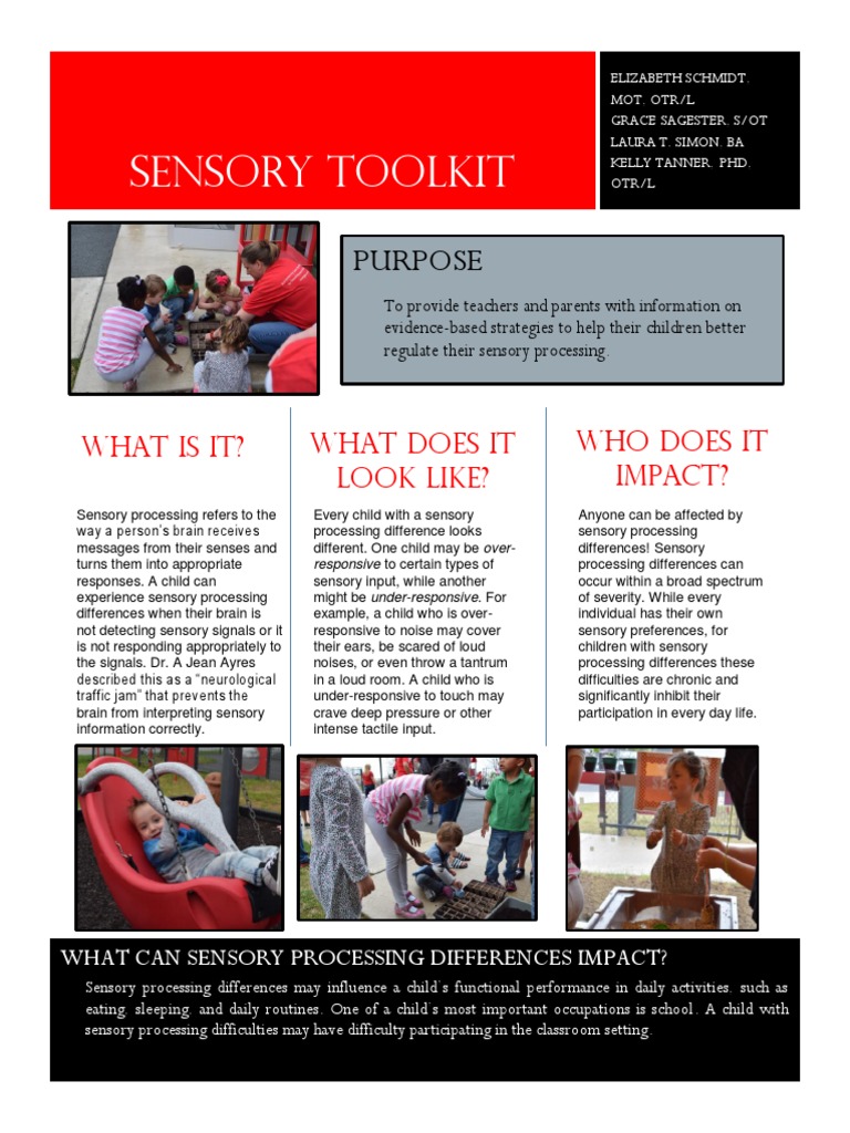 Sensory-Toolkit-Final-LS-002 | PDF | Neuroscience | Cognition