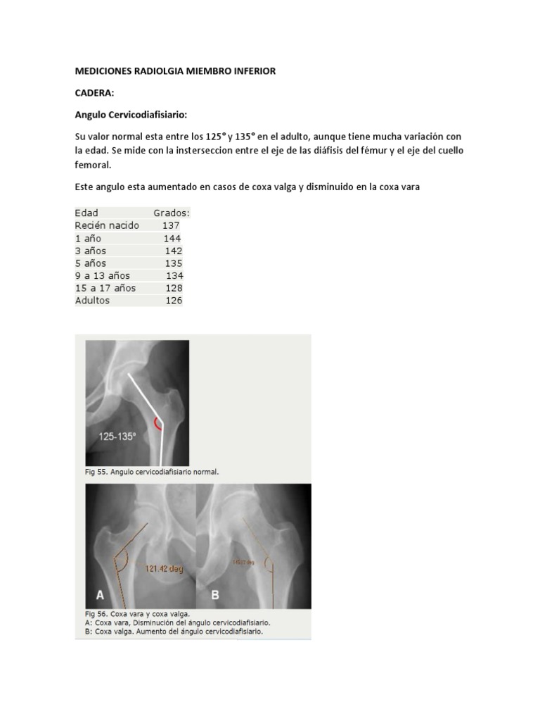 Mediciones Radiolgia Miembro Inferior 2 | PDF