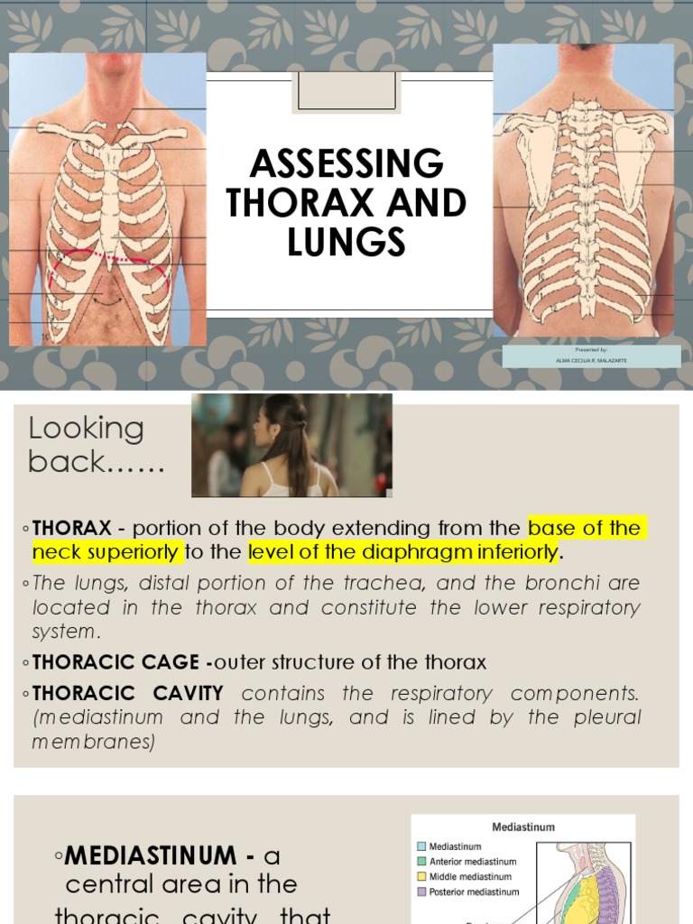 Thorax and Lung Assessment Guide | PDF | Wellness | Science & Mathematics
