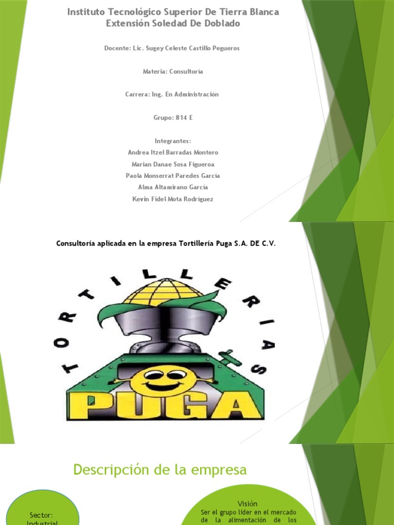 Tortilleria Puga | PDF | Cliente | Maíz