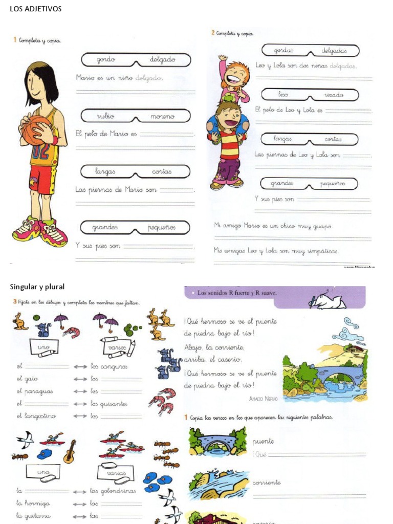 Ejercicios Adjetivos, Descripciones, Sing y Plural | PDF