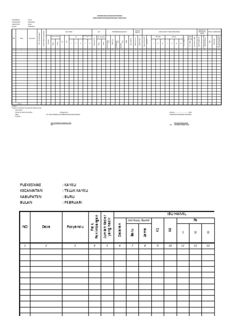 Contoh format posyandu 2019 | PDF