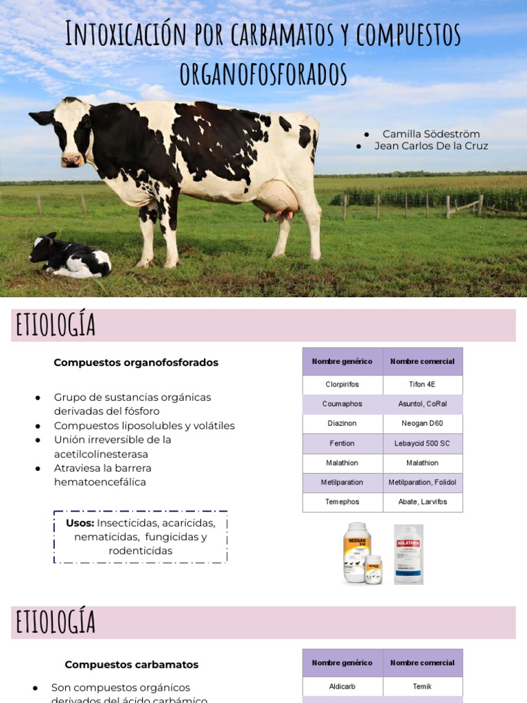Intoxicación por Carbamatos y Organofosforados | PDF | Acetilcolina ...
