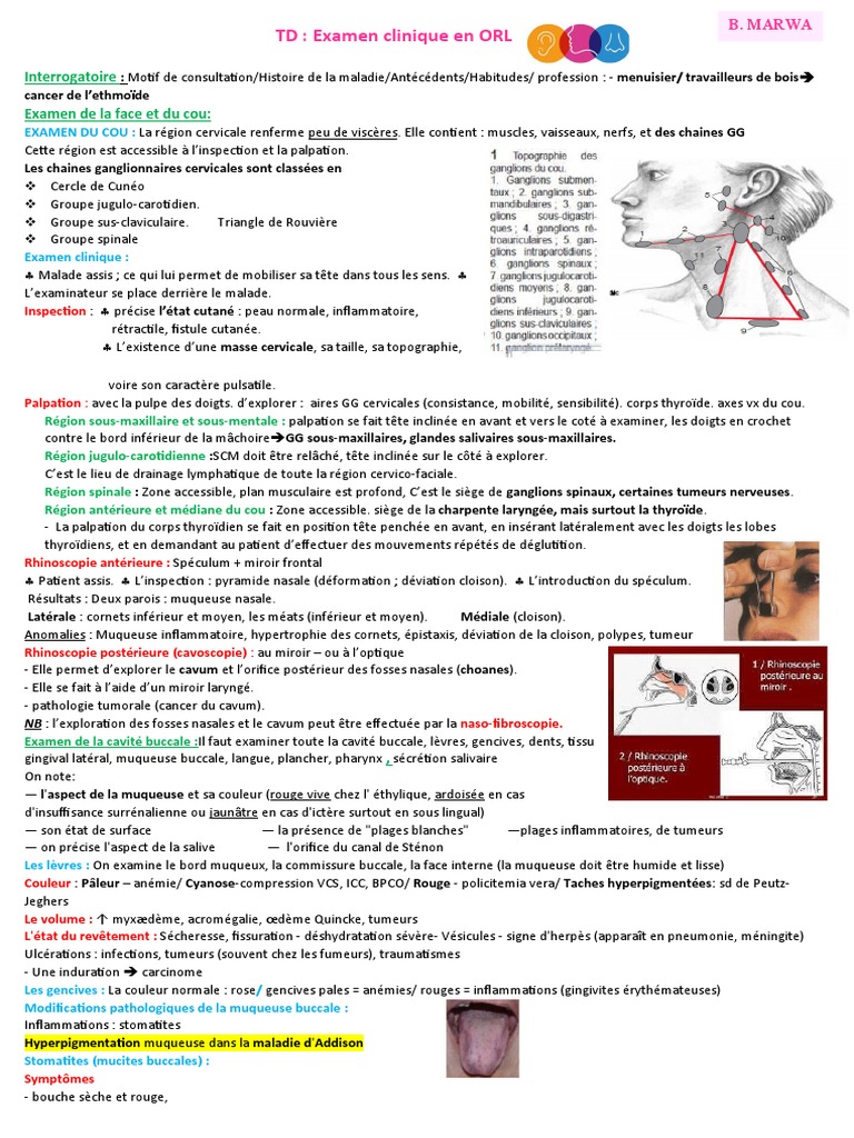 Examen Des Paires Crâniens ORL | PDF | Cou | Langue