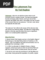 Life and Death of A Hawk | PDF | Young Adult