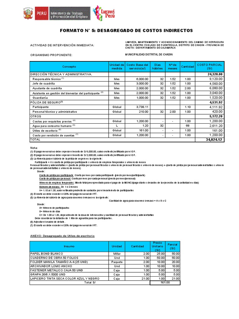 Formato 5 - Costos Indirectos | PDF