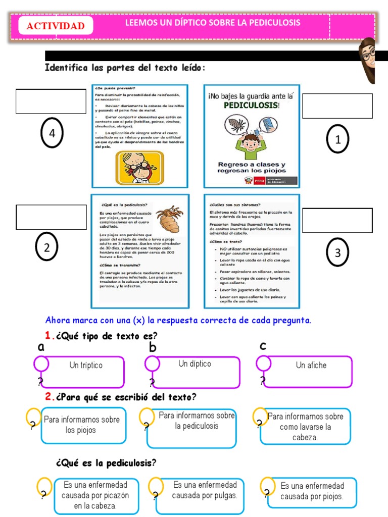 D1 A1 FICHA COM. LEEMOS UN DÍPTICO SOBRE LA PEDICULOSIS 3er grado | PDF