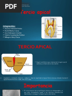 Clasificacion de Vertucci | PDF | Diente | Anatomia dental