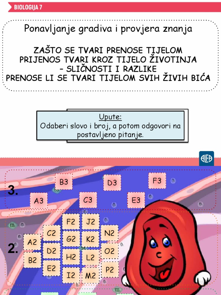 Ponavljanje Gradiva I Provjera Znanja | PDF