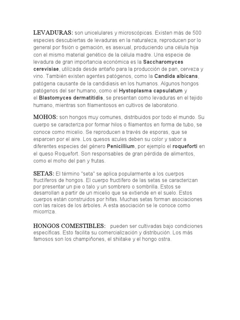 Tipos de Hongos: Clasificación y Ejemplos | PDF | Hongo | Seta