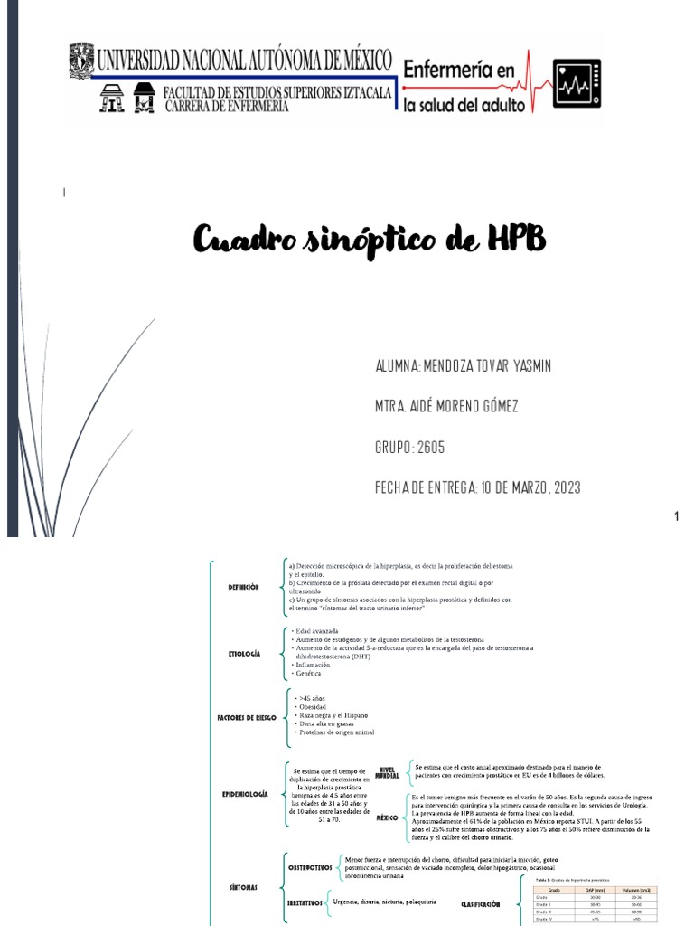 Cuadro Sinoptico de HPB | PDF | Vejiga urinaria | Cancer de prostata