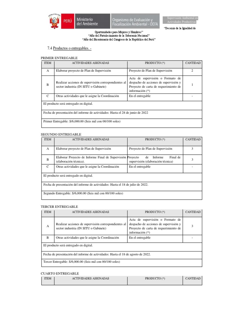 ENTREGABLES | PDF | Gobierno