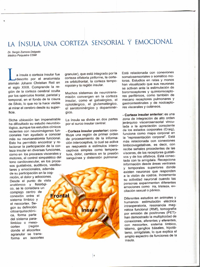 LA INSULA, Una Corteza Sensorial y Emocional | PDF