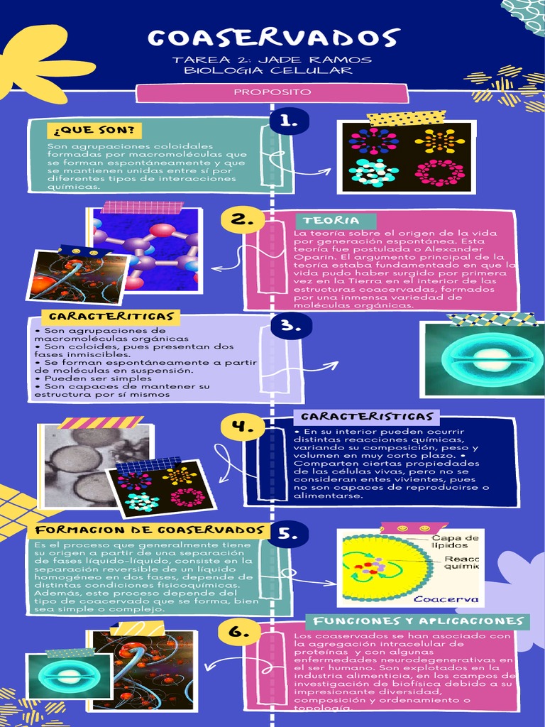 Infografia COASERVADOS | PDF | Coloide | Biología Celular)