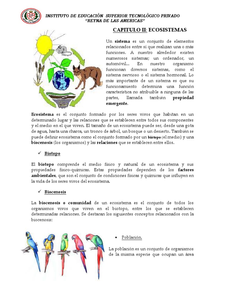 Capitulo Ii: Ecosistemas: Propiedad Emergente Ecosistema | PDF ...