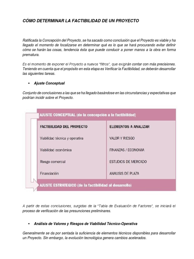01 Cómo Determinar La Factibilidad de Un Proyecto | PDF | Mercado ...