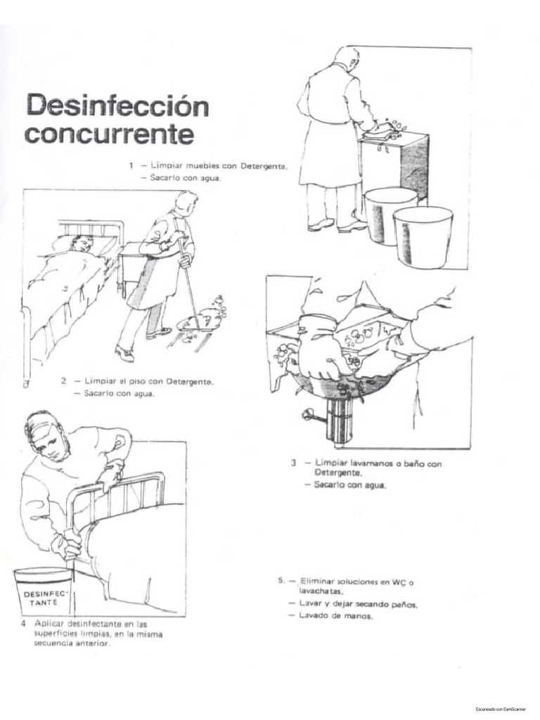 Aseo de La Unidad Concurrente y Terminal | PDF