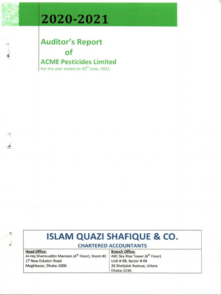 Audit Report 2020 2021 Pdf
