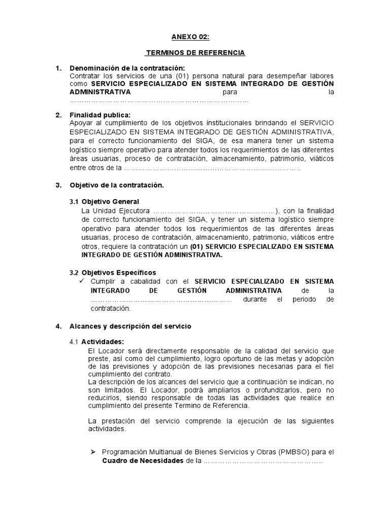 TDR Especialista en Siga-Pmbso......... | PDF | Logística | Business