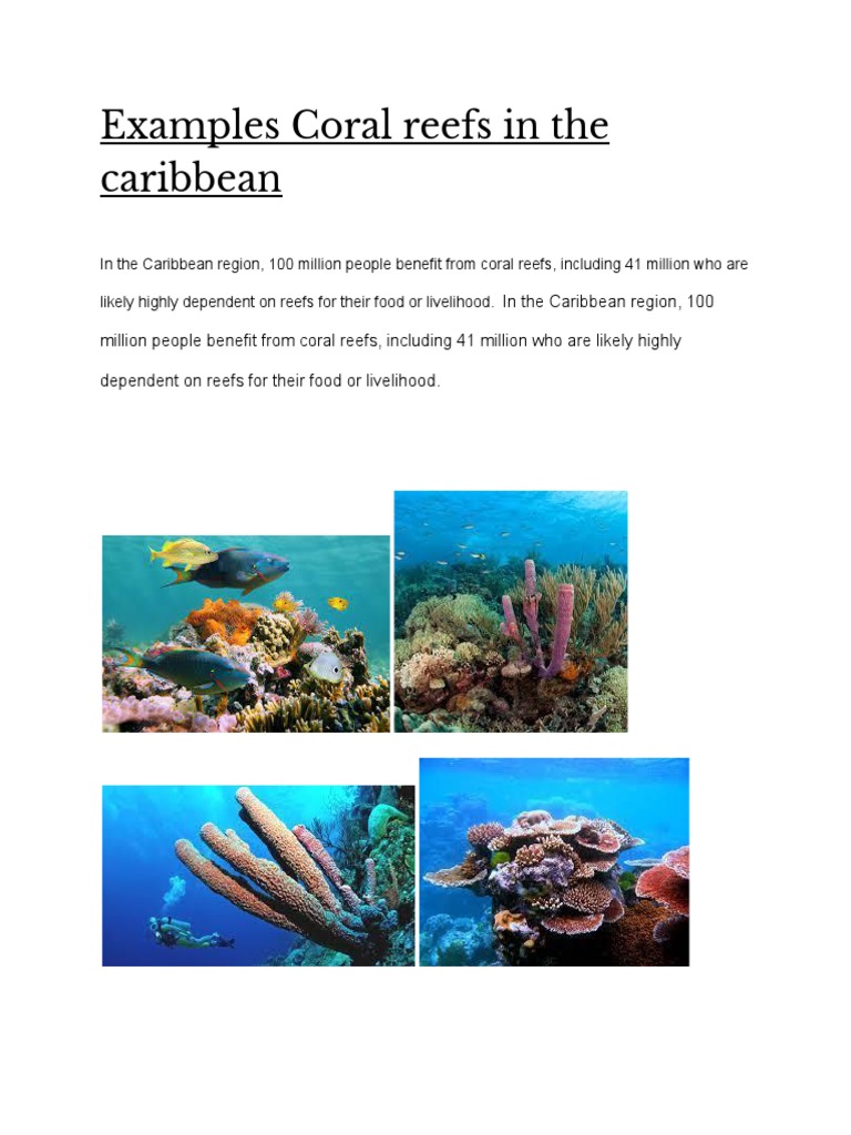 Examples Coral Reefs in The Caribbean | PDF | Coral Reef | Water