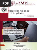 Clasificacion Histologica Internacional de Tumores | PDF | Cáncer | Neoplasias