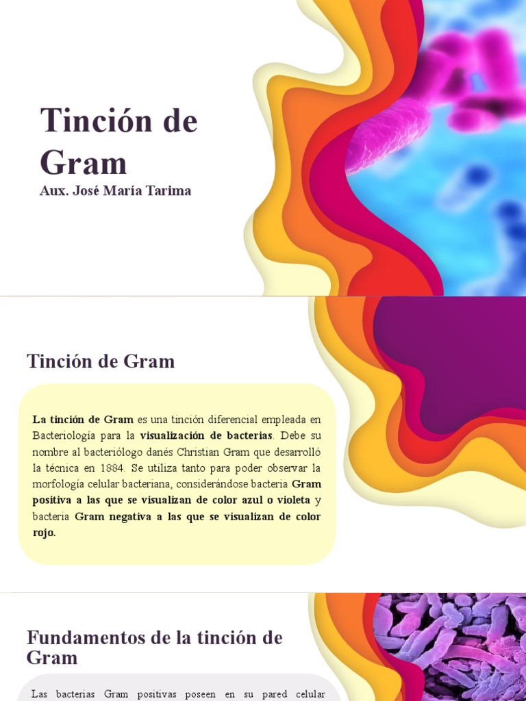 Tinción de Gram | PDF