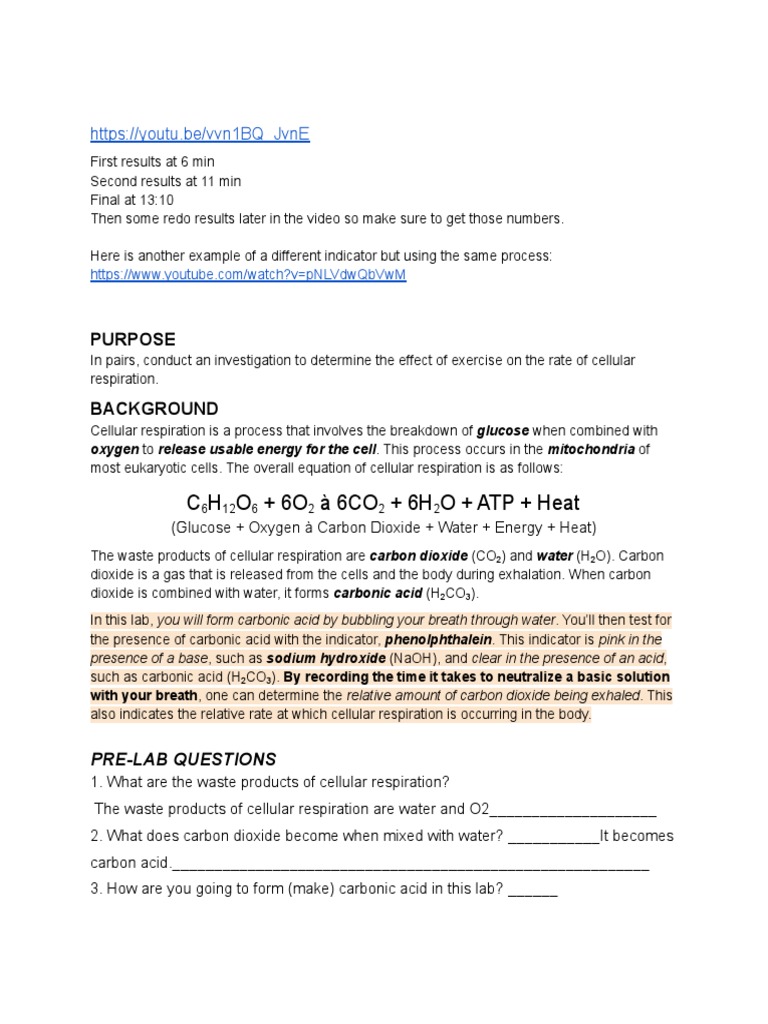 Cellular Respiration Lab | PDF | Cellular Respiration | Chemistry