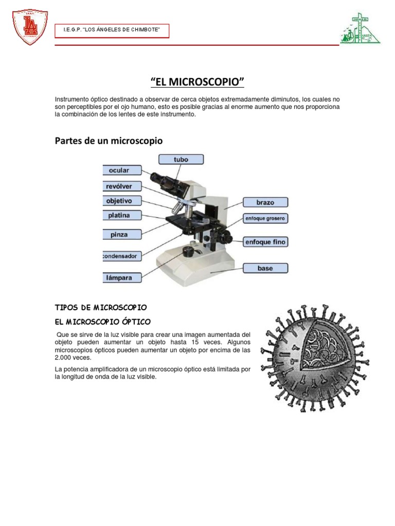 El Microscopio | PDF | Óptica | Microscopio