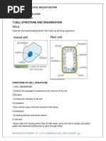 Form 1 Combined Science Notes (A) | PDF | Flowers | Pollination
