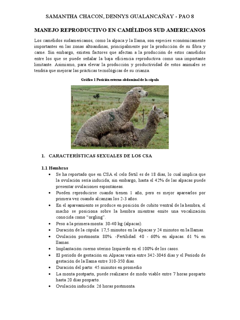 Samantha Chacon, Dennys Gualancañay - Pao 8 Manejo Reproductivo en ...
