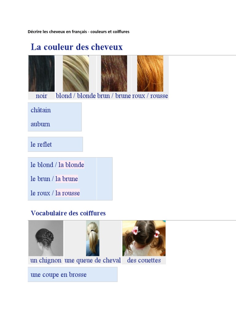 Décrire Les Cheveux en Français | PDF