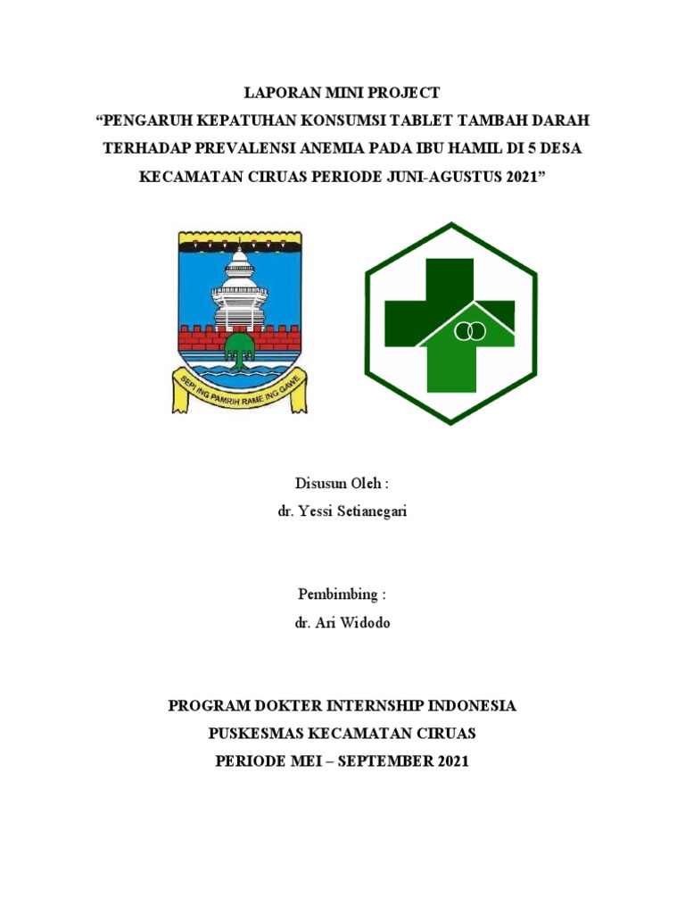 MINIPRO 5 Desa Dr. Yessi | PDF