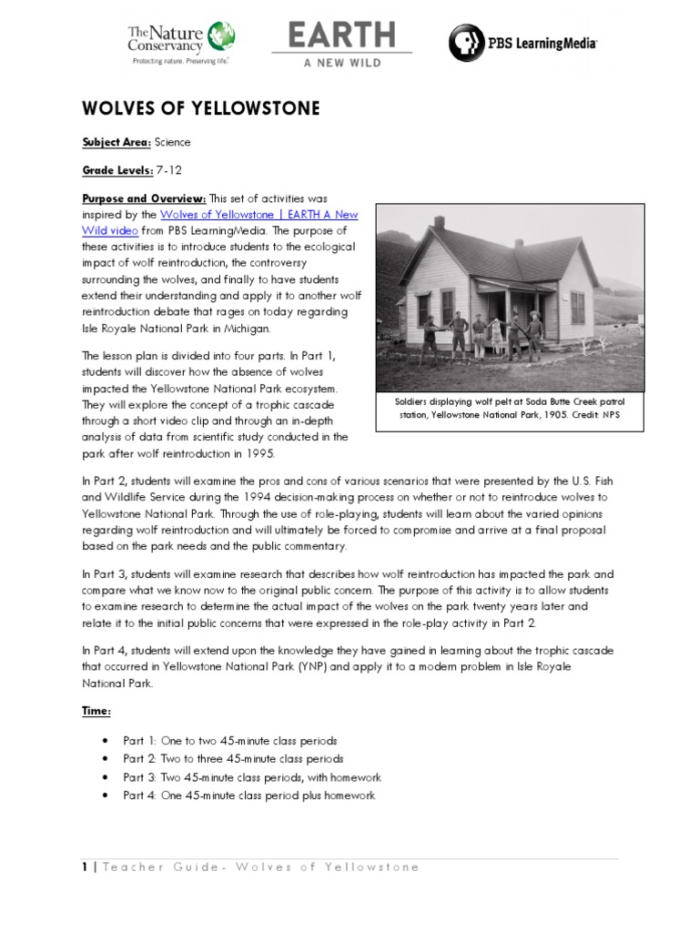 Wolves of Yellowstone Teacher Guide UPLOAD | PDF | Food Web | Predation