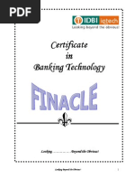 Finacle 10 Training Content | PDF | Banks | Financial Services
