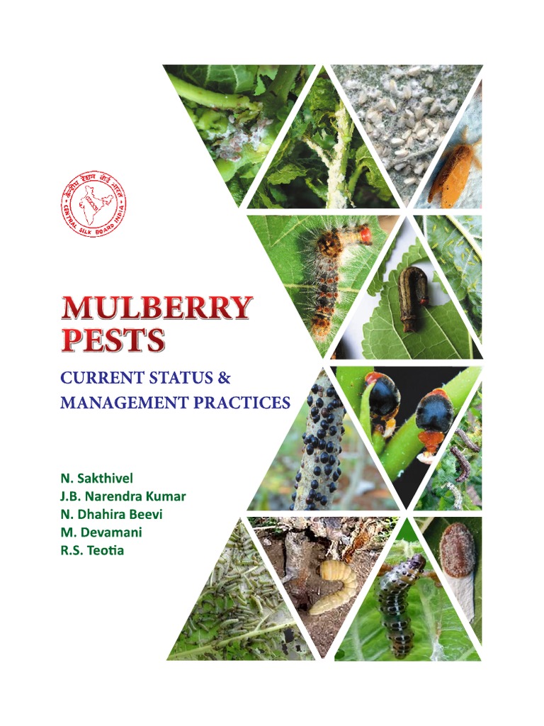 Current Status and Management Practices of Major Mulberry Pests | PDF | Pest (Organism) | Insects