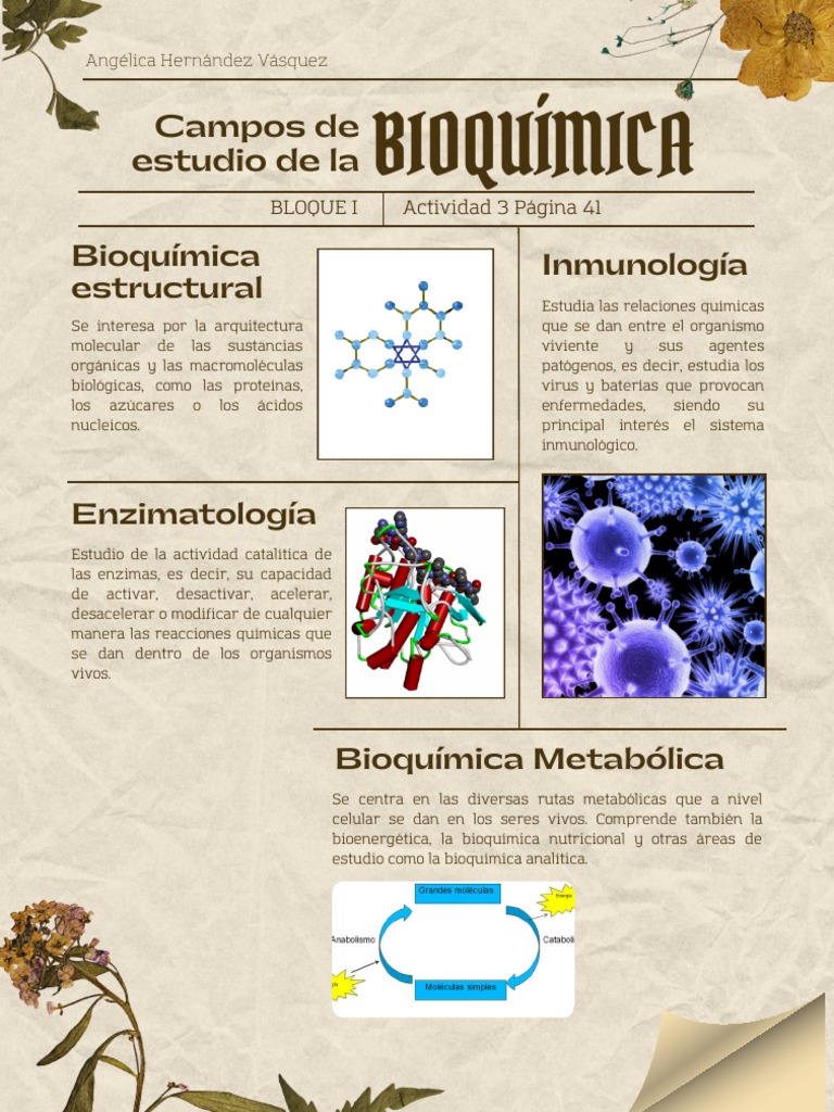 Bioquímica Estructural | PDF