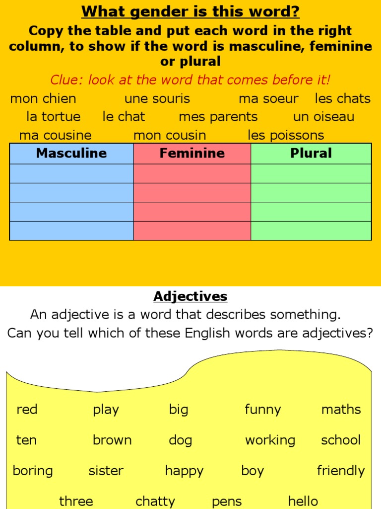 GENDER WORDS | PDF | Grammatical Gender | Grammar