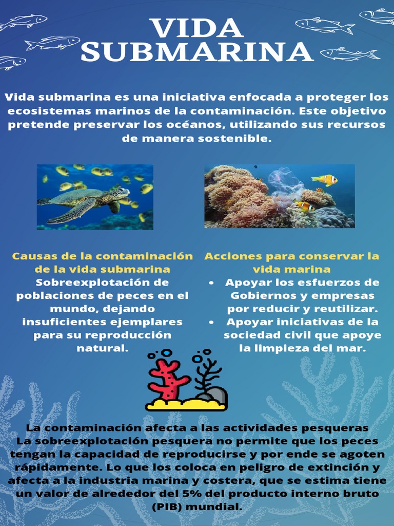 Conservación de la Vida Submarina | PDF | Tecnología