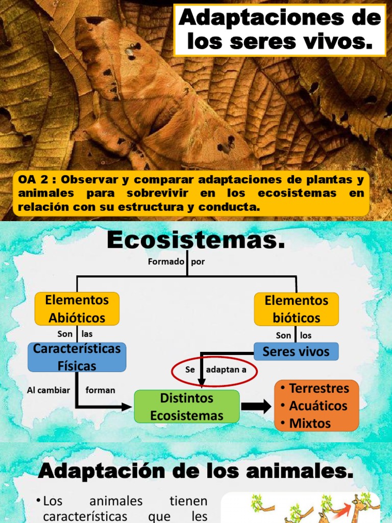 14 Adaptaciones Animales | PDF | Ecosistema | Aves
