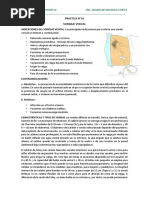 Catéter Pigtail: Uso y Colocación | PDF