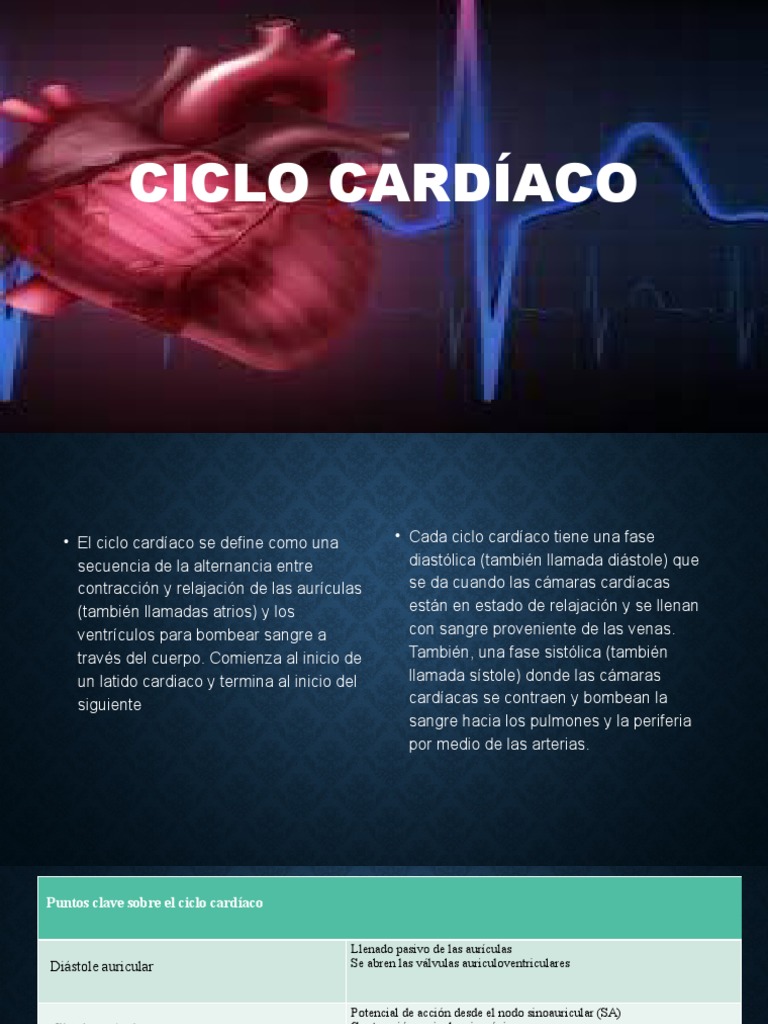 Ciclo Cardíaco | PDF | Ventrículo (corazón) | Corazón