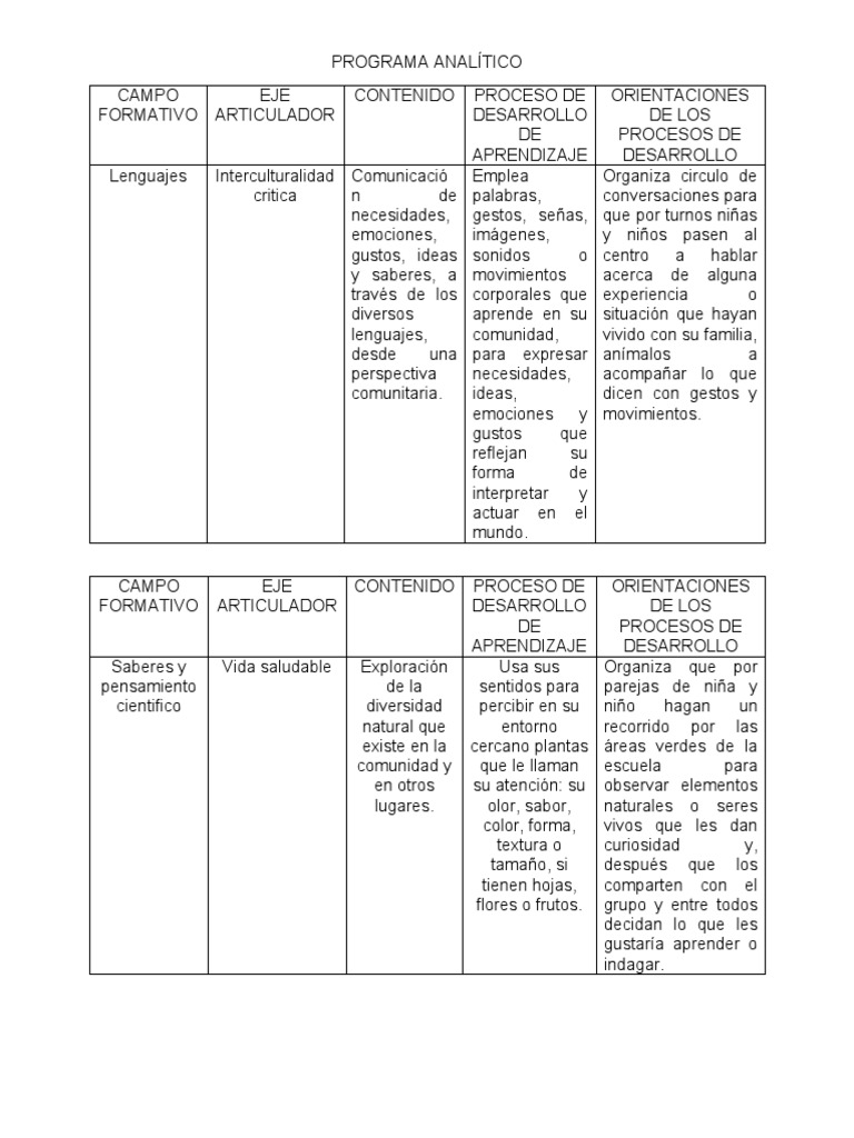 Programa Analitico Febrero Pdf Aprendizaje Sicología
